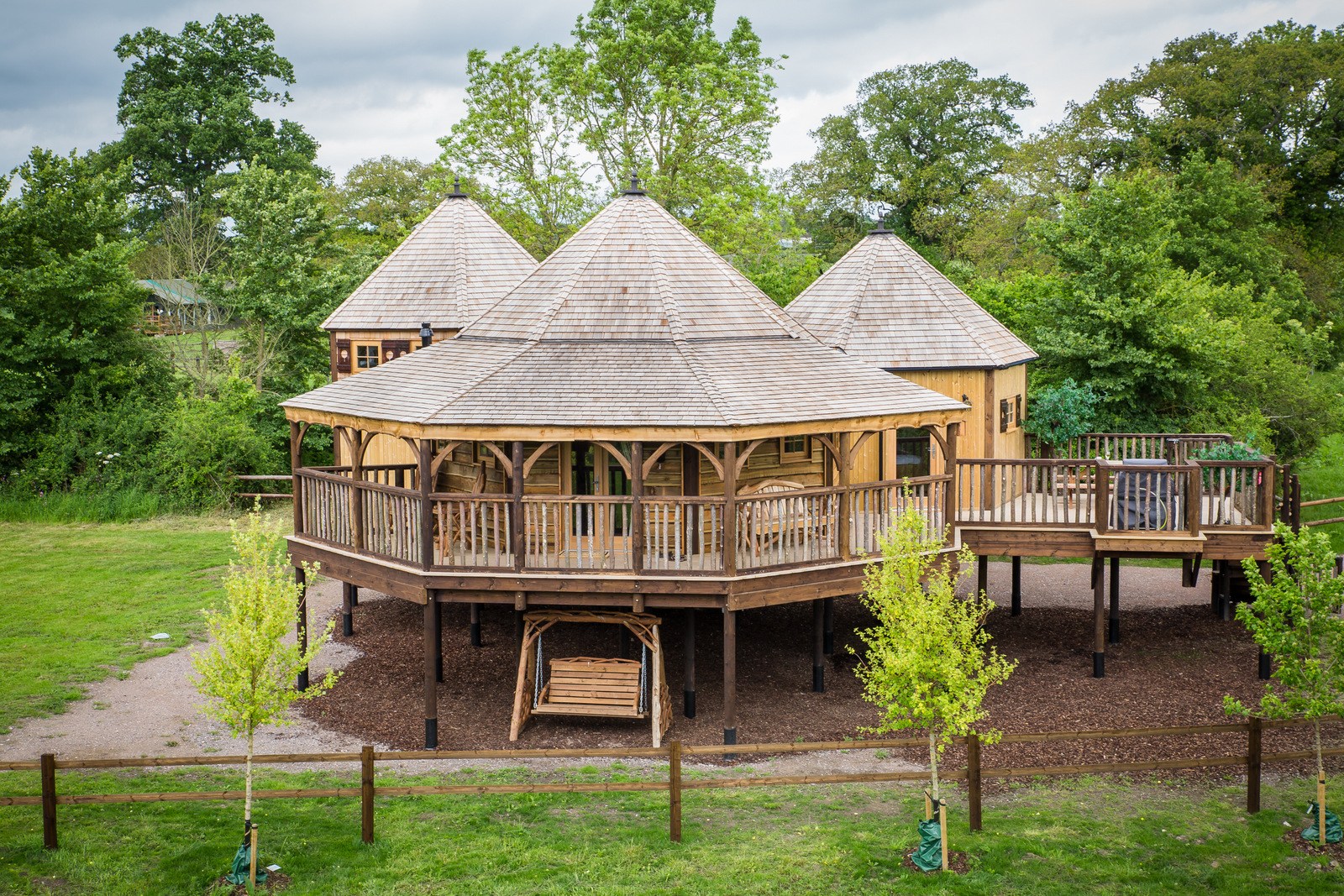 King Arthur’s Willow! Ready To Go! - Mill Farm